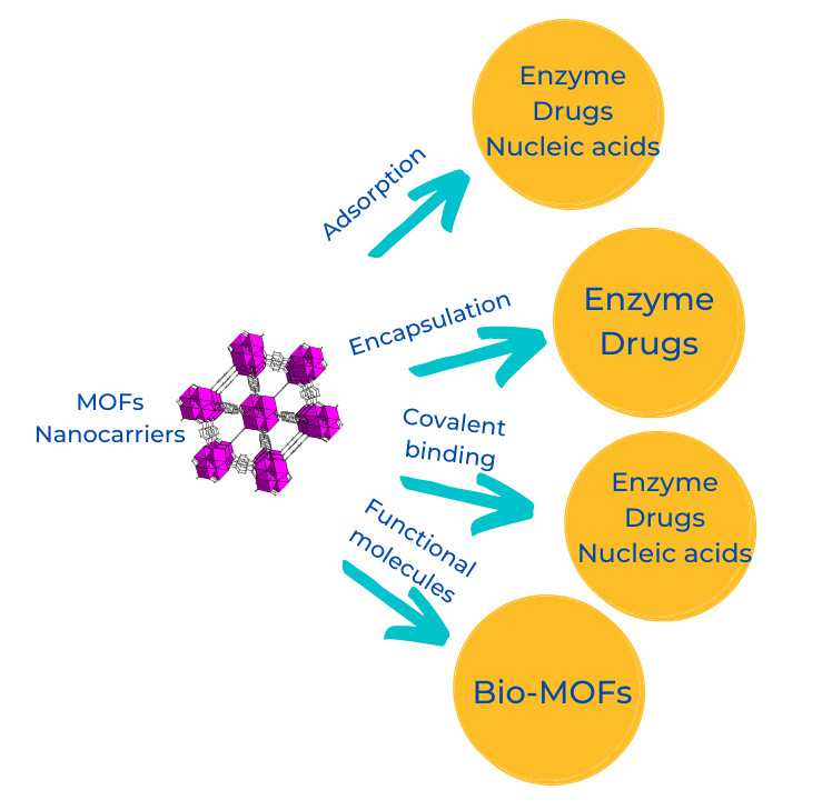 MOFs as nanocarriers for therapeutic agents' delivery